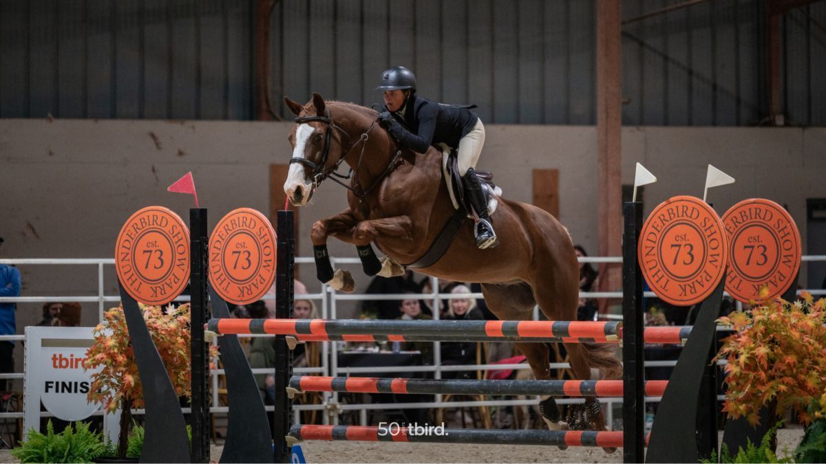 Your Horse Live