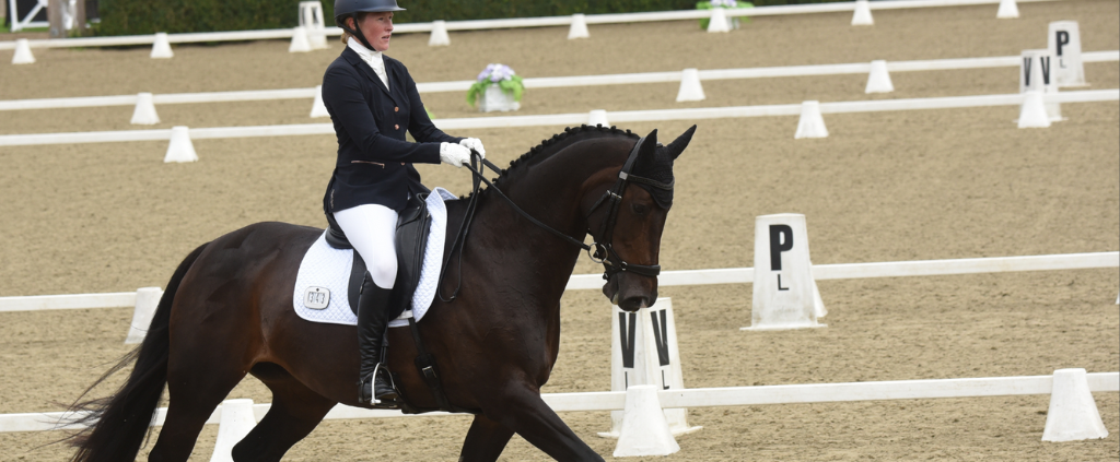 British Dressage Winter Area Festival at Aintree Equestrian